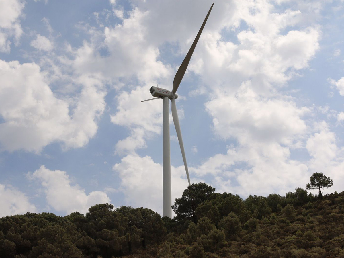 ACWA Power signs agreement for 100MW Uzbekistan wind power project ...