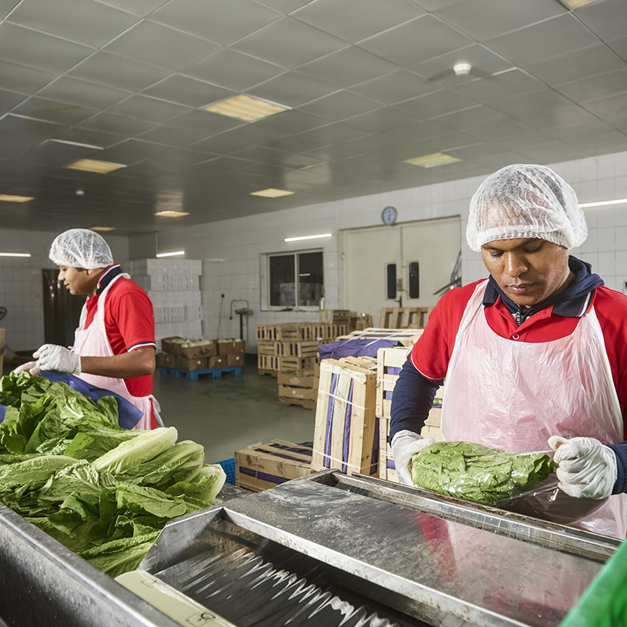 Innovative Food Systems - LogisticsGulfNews.com
