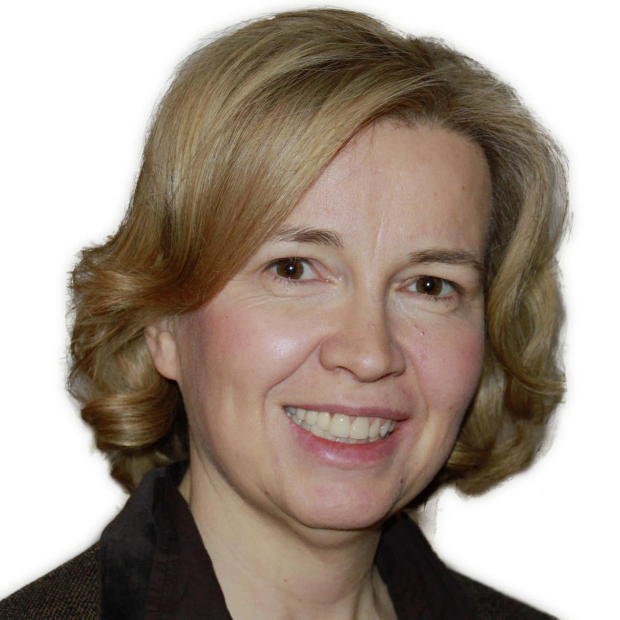 Gartner Says CIOs Must Balance the Environmental Promises and Risks of ...